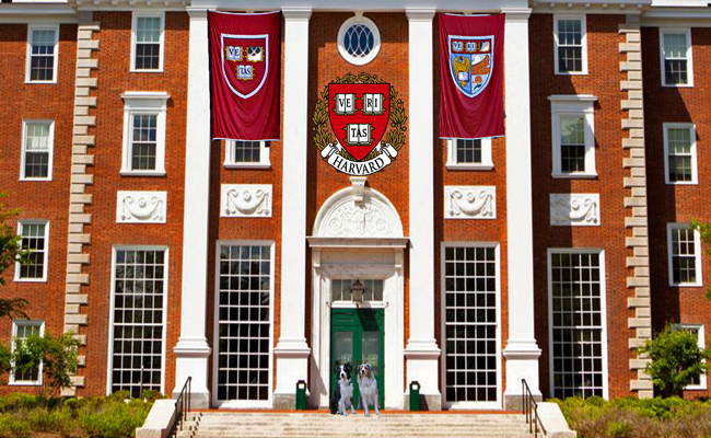 Puritans hold first graduation ceremony from college named for John ...