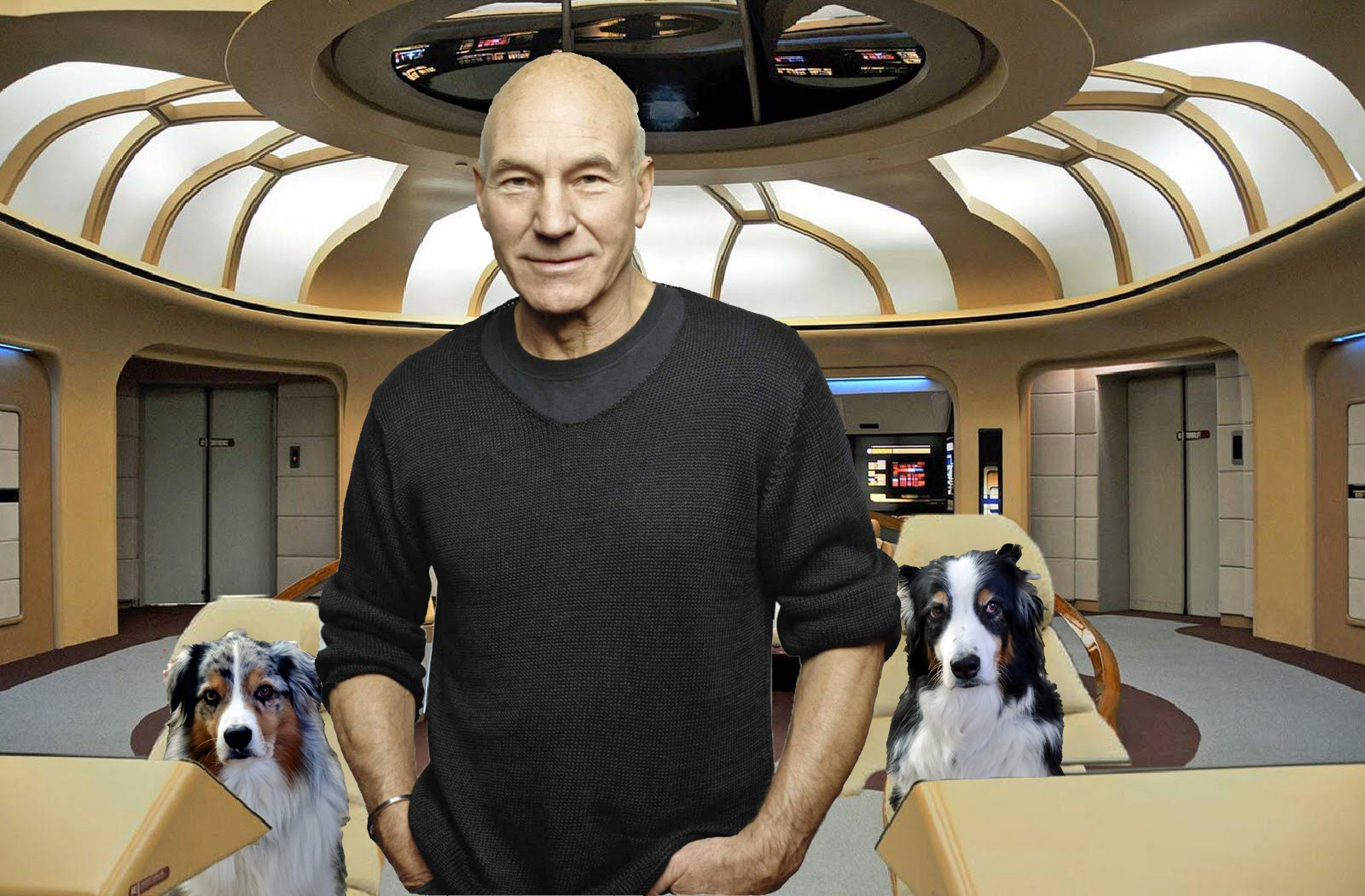 Shakespeare to Star Trek: Patrick Steward, born 1940 July 13th ...