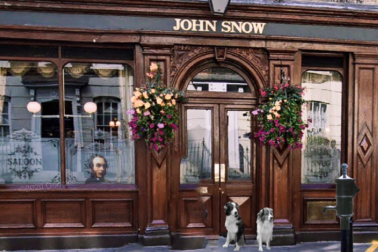 A Cholera Spread, A Water Pump, and A Map: John Snow, born 1813 March ...