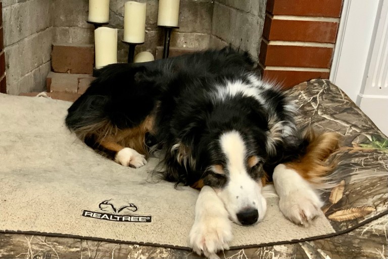 Goodbye, Gavin (The Gastineau Outlaw): 2008 to 2021 “Rest In Peace ...