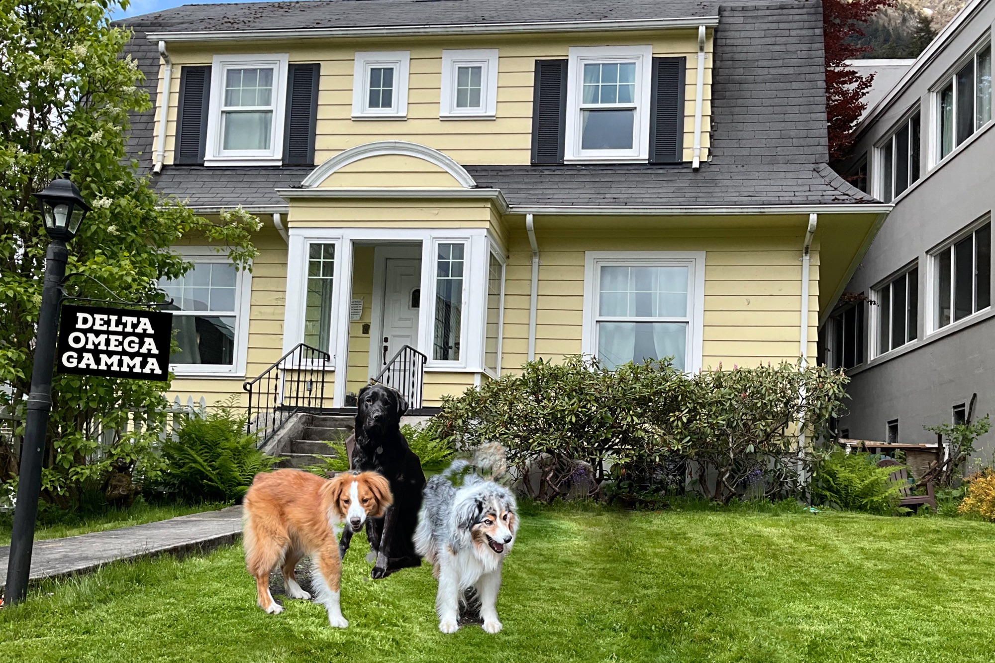 “Animal House” – The Delta Omega Gamma (D.O.G.) Fraternity – Doggedly Yours