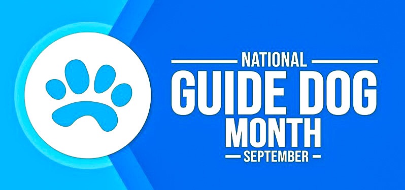 Welcome To National Guide Dog Month – September 2024 – Doggedly Yours