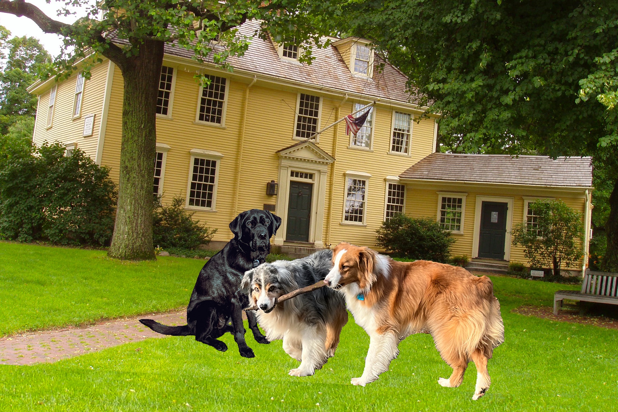 King’s Authoritarian Orders Result In Violence in Lexington on April 19 ...