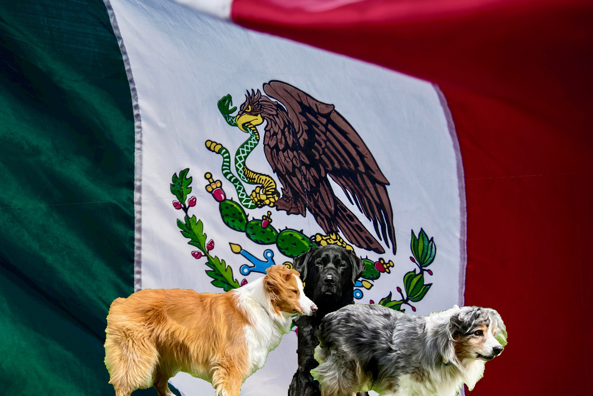 Cinco de Mayo – known as the Anniversary of the Battle of Puebla – May ...