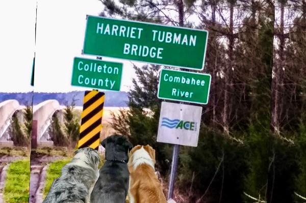 Harriet Tubman and the Combahee Raid of June 2, 1863 – Doggedly Yours